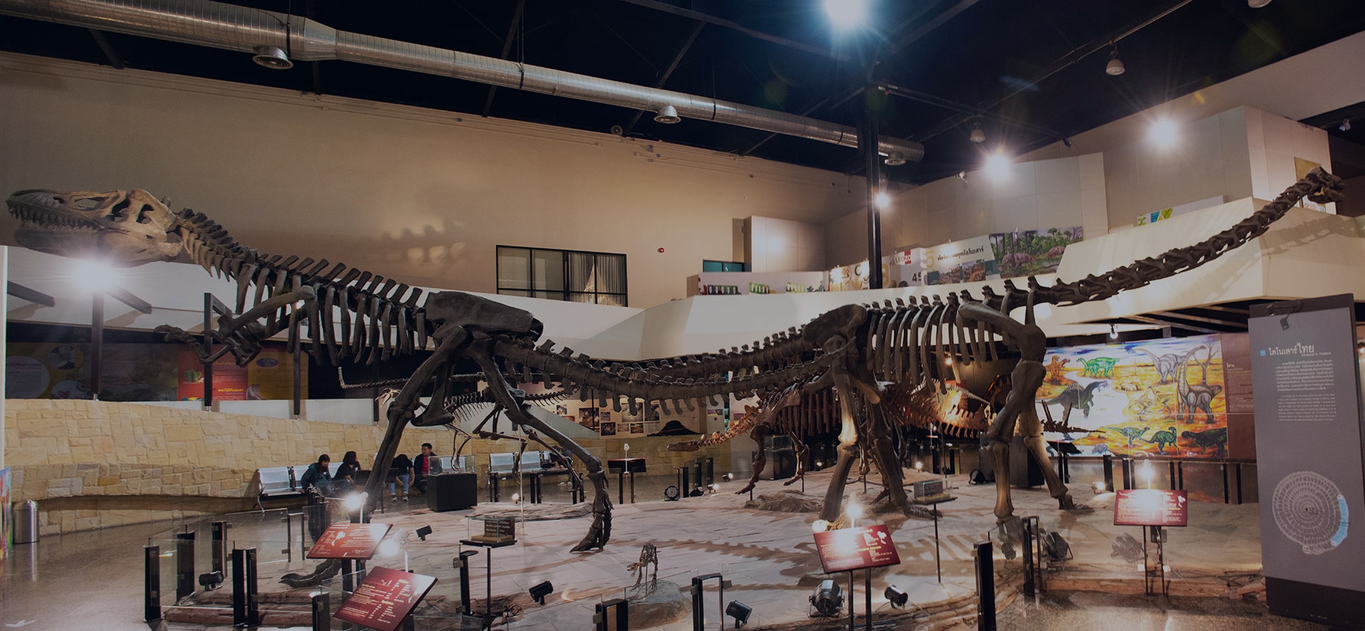 Top 10 Smithsonian Museum Gems | Mobile Permissions